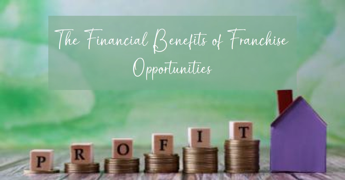 Why Invest in Franchise Opportunities: A Financial Perspective ...